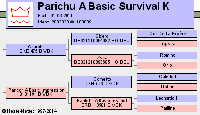 Hest til salg: Parichu A Basic Survival K (208333DW1100039) - Kvallitet ...